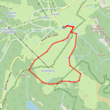 Parcours raquette - Tour du Kastelberg - La bresse