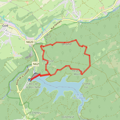 Route walk - Promenade du Grand Lys - Jalhay