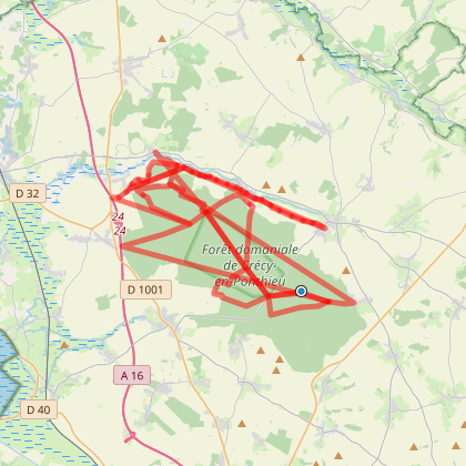 Parcours marche - Les circuits en forêt de Crécy - Crecy-en-ponthieu