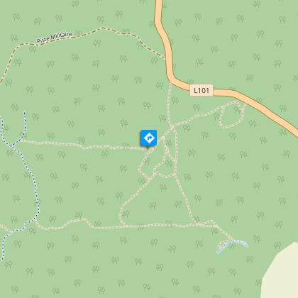 Circuit d'Arboretum Raponda Walker - Parcours marche | Cirkwi