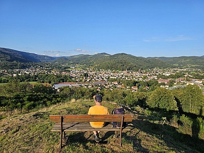 Family walk - virgin circuit - Route walk - Le thillot | Cirkwi