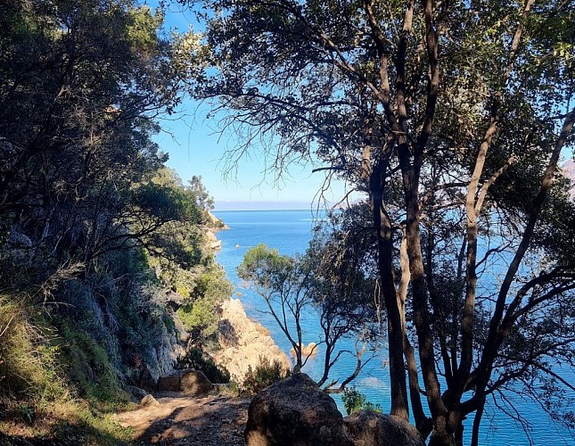 PLAGE DE CASPIU - PLAGE DE GRADELLE - Parcours marche - Partinello | Cirkwi
