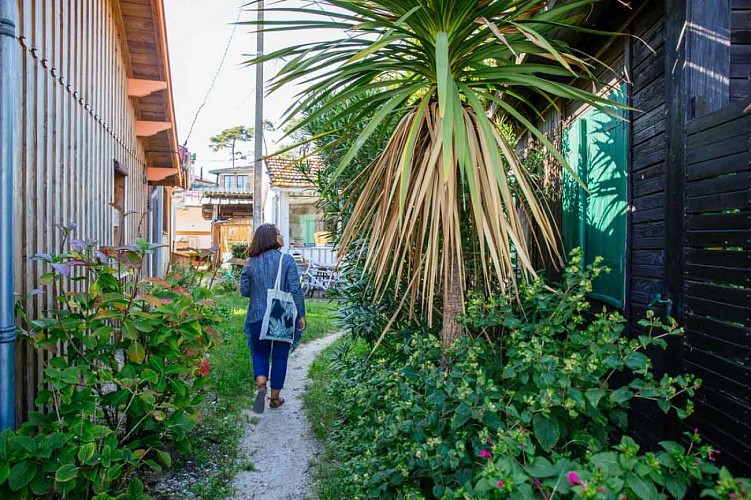 Plages du Bassin - Les Jacquets/Grand Piquey - Parcours marche - Lege ...