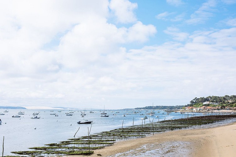 Plages du Bassin - Le Canon/La Vigne - Parcours marche - Lege-cap ...