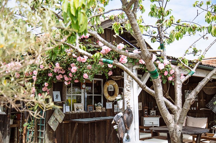 Plages du Bassin - Le Canon/La Vigne - Parcours marche - Lege-cap ...