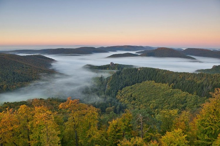 Trésor des Vosges du Nord : Circuit des 4 châteaux - Parcours marche ...