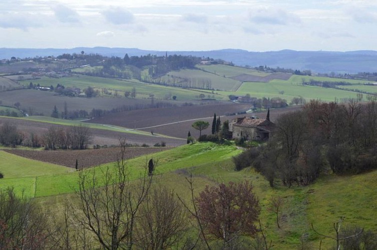Sur les traces de Gaudentius - Parcours marche - Saint-gauzens | Cirkwi