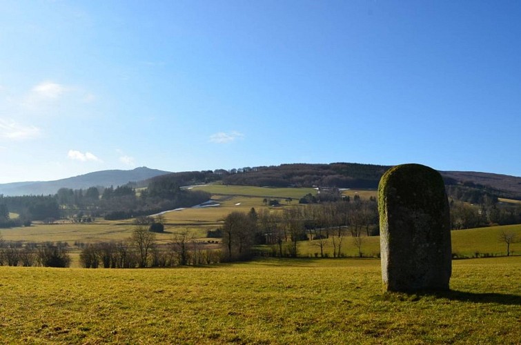 GR® 653 - La Voie d’Arles vers Saint-Jacques de Compostelle - Parcours ...