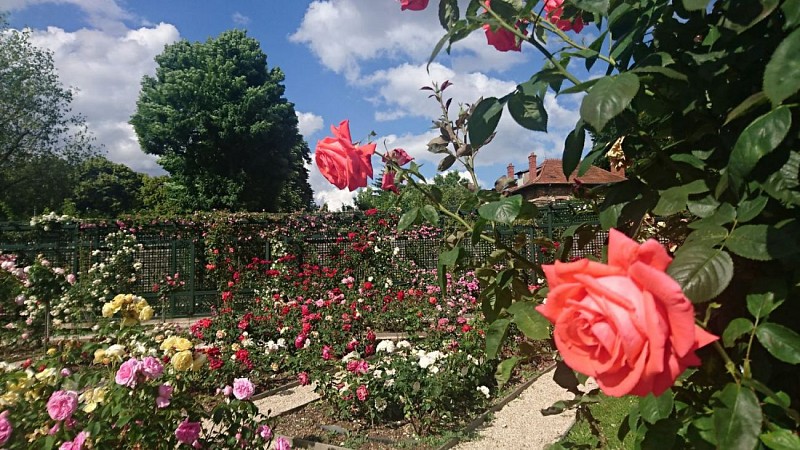 Roseraie du Val-de-Marne