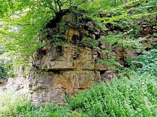 Route walk - CIRCUIT DE LA BORNE DE FER - Audun-le-tiche