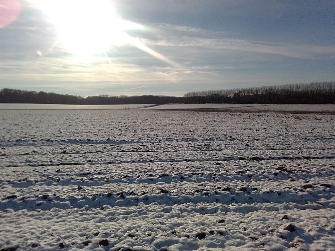 Mignault - 13/02/2021 - Parcours marche - Le roeulx | Cirkwi