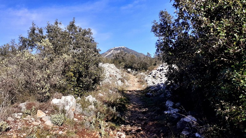 Tour du Plateau Tercier depuis le Sanctuaire de Laghet - Parcours ...