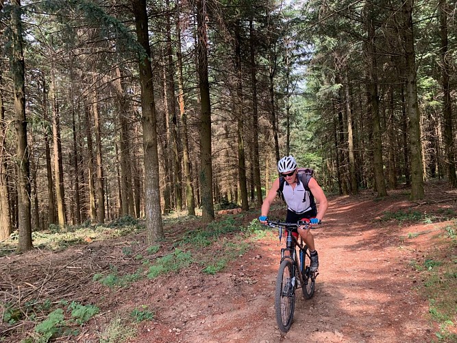 Parcours vtt - N°12 Circuit des bois - Panissieres