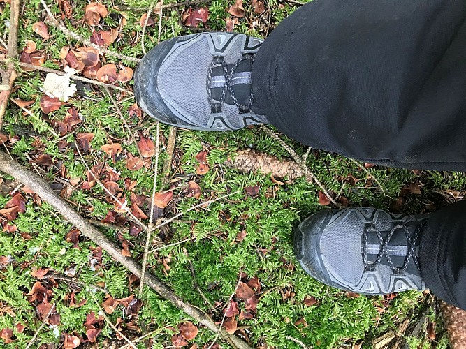 Sentier Les hérissons - Route walk - Bussieres | Cirkwi