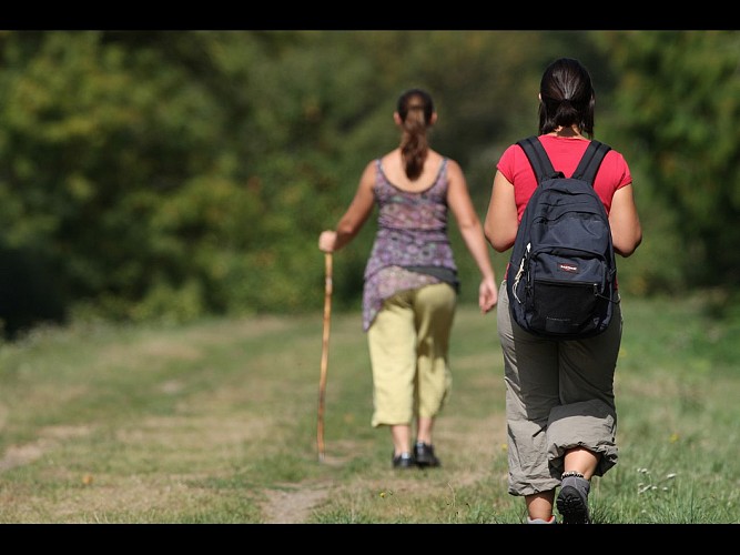Parcours marche - CIRCUIT DU PAPINAIS À CHÂTELAIN (N°33) - Chatelain