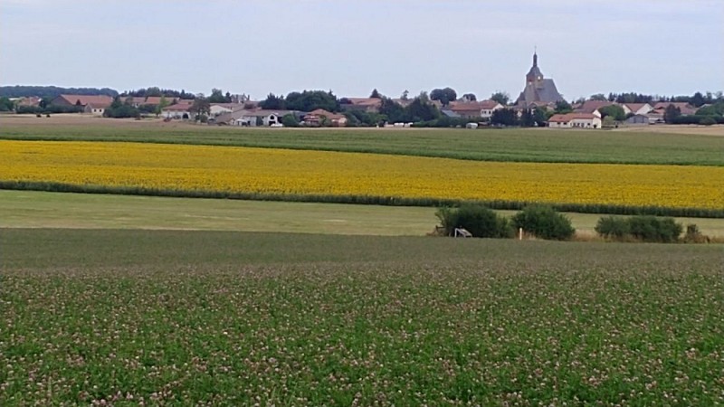 Autour de l'etang d' Amel - Parcours marche - Senon | Cirkwi