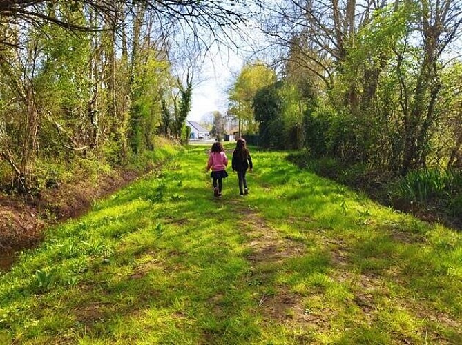 Boucle le ruisseau des fillières - Parcours marche - Guecelard | Cirkwi