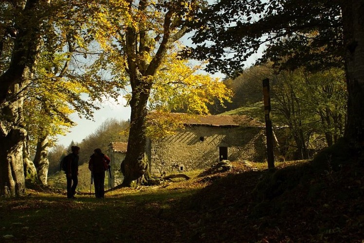 Parcours marche - Gampaloux - Forêt de Comblezine - Leoncel