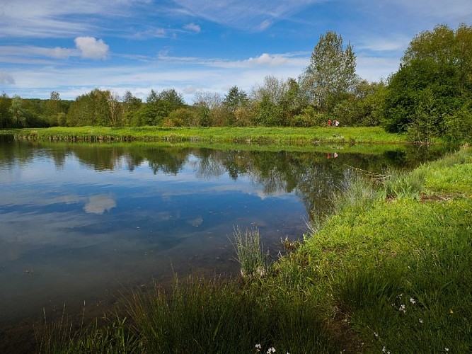 Circuit des étangs - Route wandelen - Saint-aubin-le-cauf | Cirkwi