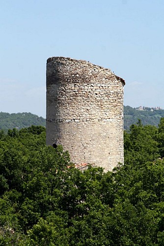 Circuit marche - Grand Luberon - Parcours 10 - Les crêtes du Grand ...