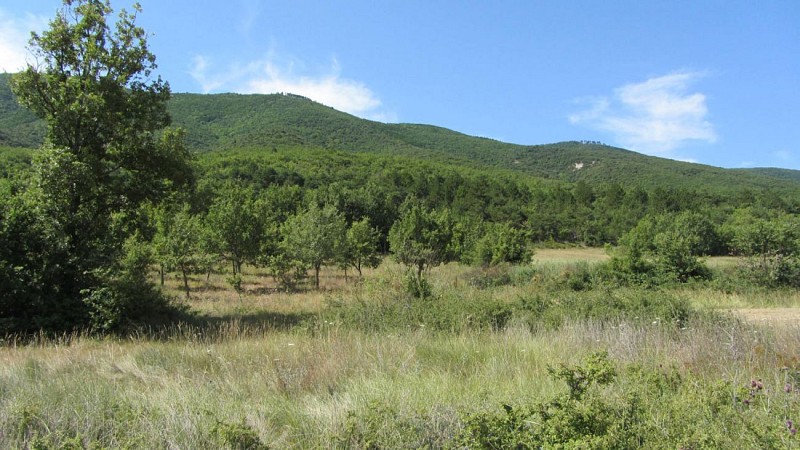 Circuit marche - Grand Luberon - Parcours 10 - Les crêtes du Grand ...