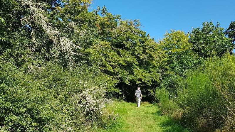 Parcours marche - Warempage - Le Cheslin (Ortho-Hives) - La roche-en ...