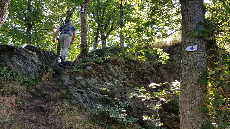Parcours marche - Warempage - Le Cheslin (Ortho-Hives) - La roche-en ...
