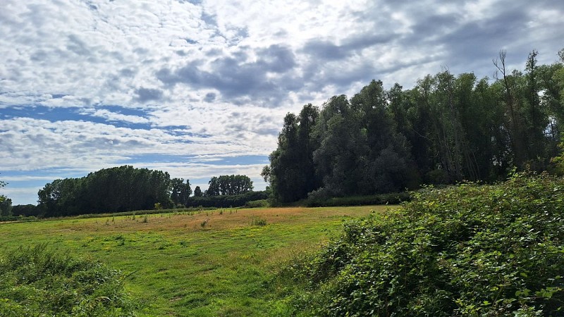 Hofstade - Mini-balade - Val et Oli - Parcours marche - Zemst | Cirkwi