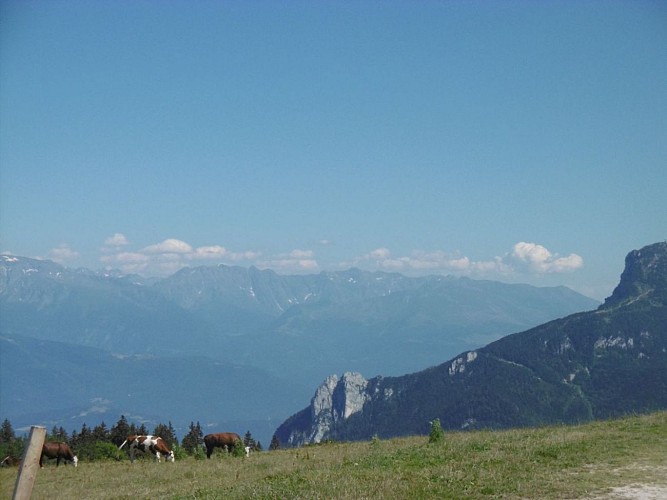Parcours cheval - Gite Parcours cheval - Gite