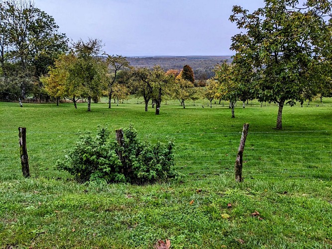 Panorama de Saint Vallier - Parcours marche - Regney | Cirkwi