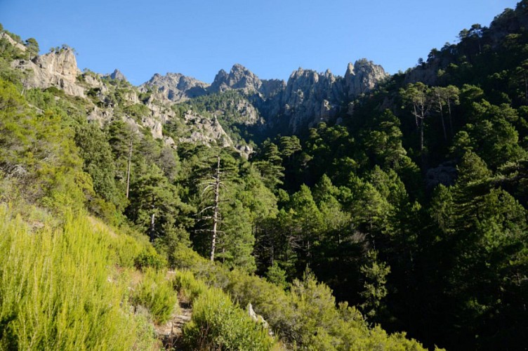 Parcours marche - Corse- Région Cortenais/Verghellu- Campu a u Prete ...