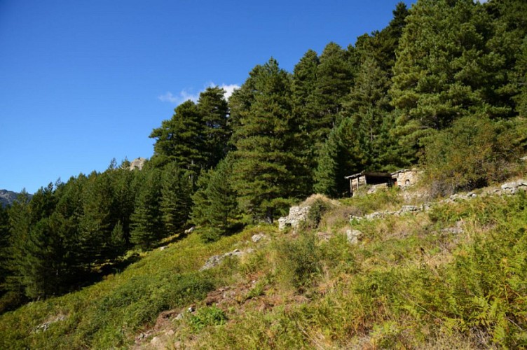 Parcours marche - Corse- Région Cortenais/Verghellu- Campu a u Prete ...