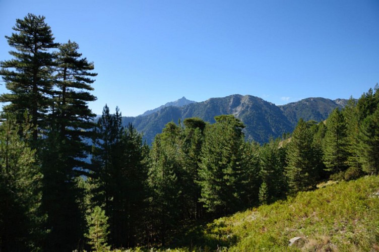 Parcours marche - Corse- Région Cortenais/Verghellu- Campu a u Prete ...