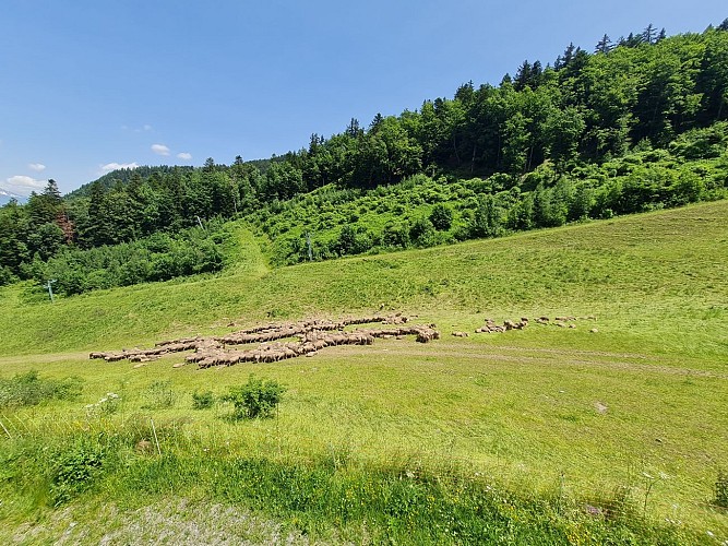 Parcours marche - Ornon à Villard-Reymond par le col de Corbière ...