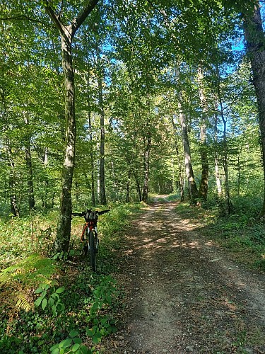 Circuit Gravel n°7 (rouge) - Les Grandes terres de Marboz - Parcours ...