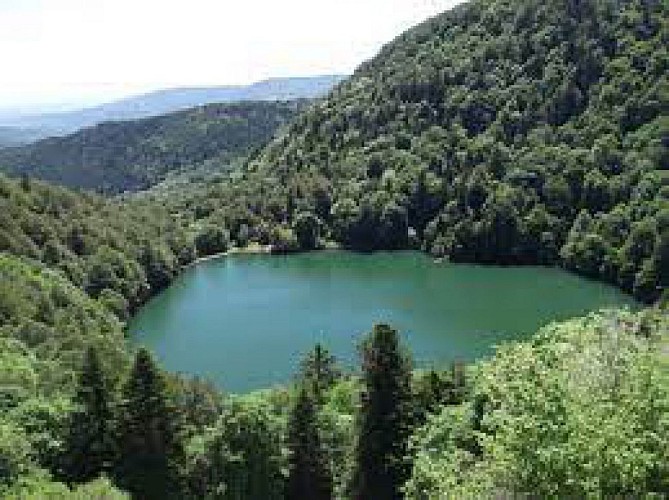 Randonné ballon d'alsace - Parcours marche - Lepuix | Cirkwi