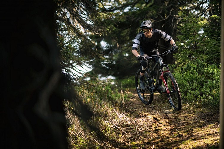 Itinéraire VTT - La Bleue Arêchoise (Enduro) - Parcours vtt - Villard ...