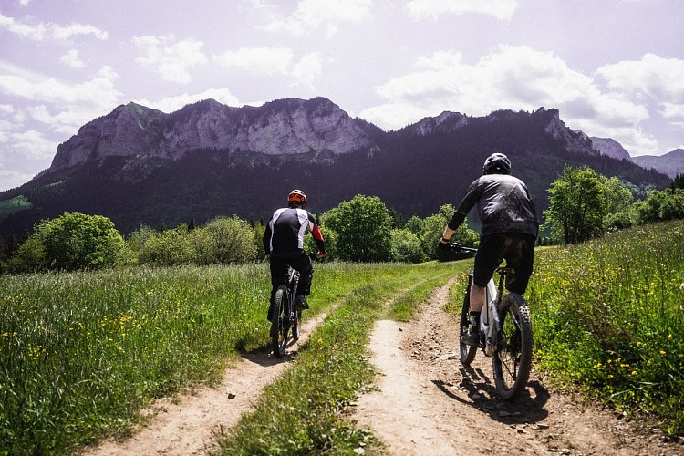 VTT : Circuit n°4 Les Monts du Gavot - Parcours vtt - Bernex | Cirkwi