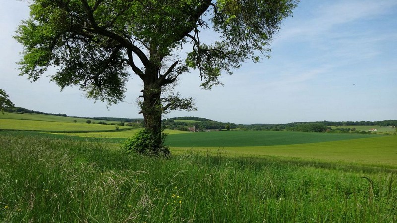 GR654 - Châteauneuf val de Bargis - Raveau - Parcours marche ...