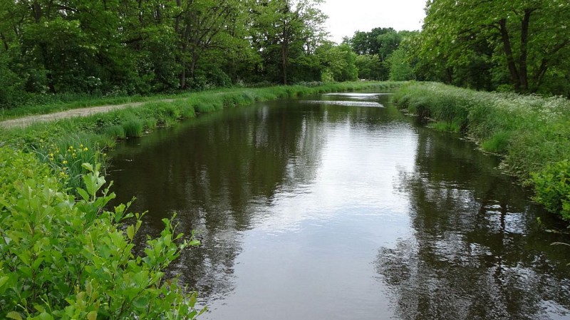 GR654 - Cuffy - Sancoins - Parcours marche - Cuffy | Cirkwi