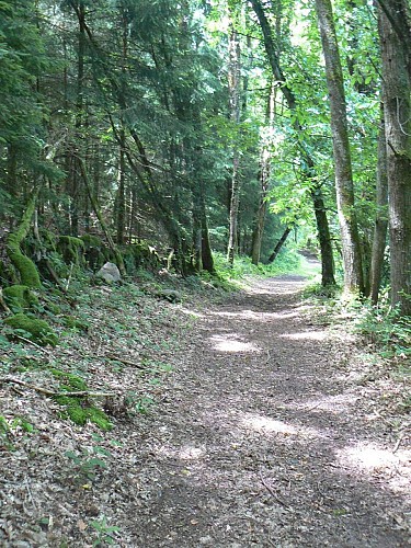 Circuit pédestre La cime du bois de Chabannes SD3 - Parcours marche - Dun-le-palestel | Cirkwi