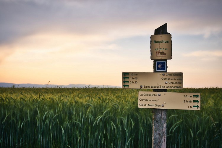 Boucle pédestre de Cernex - Parcours marche - Cernex | Cirkwi
