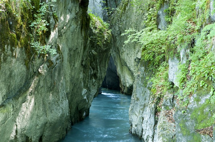 Itinéraire pédestre : rando'bus Les Gorges des Tines - Parcours marche ...