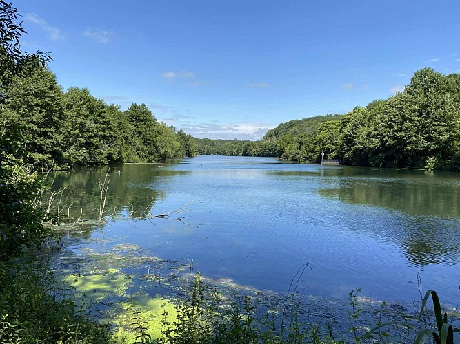Yellow walk - A tour through stone, forest, and water - Route walk ...