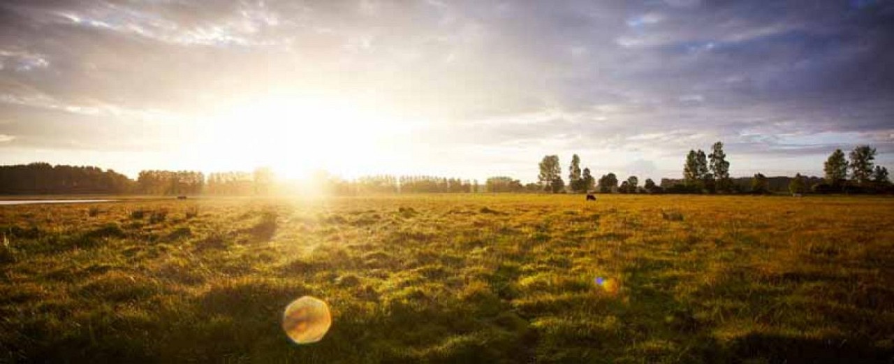 Les Ormes, Domaine & Resort: Discover Epiniac, Brittany