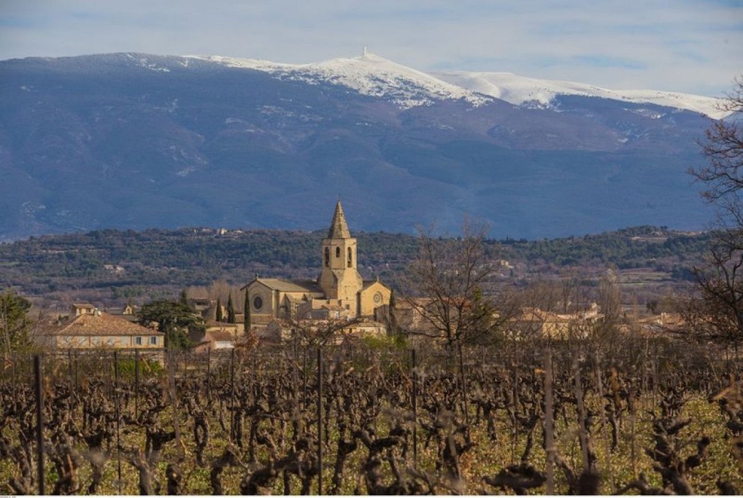 Séjour au Camping le Ventoux : trésors de Mazan et du Vaucluse