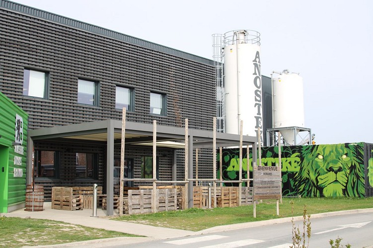 Dégustation - Brasserie du Pays Flamand - Merville