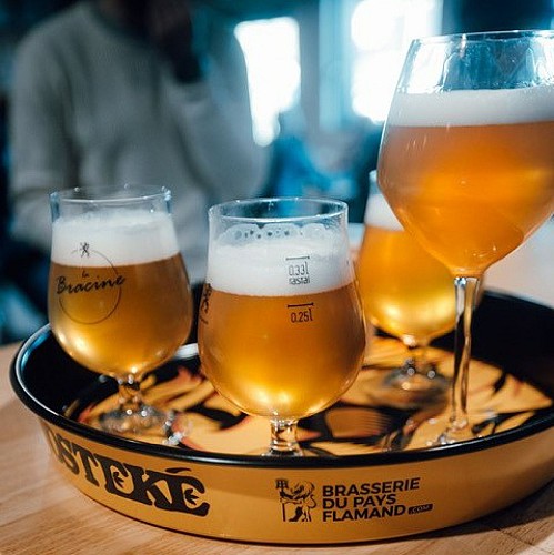 Dégustation - Brasserie du Pays Flamand - Merville