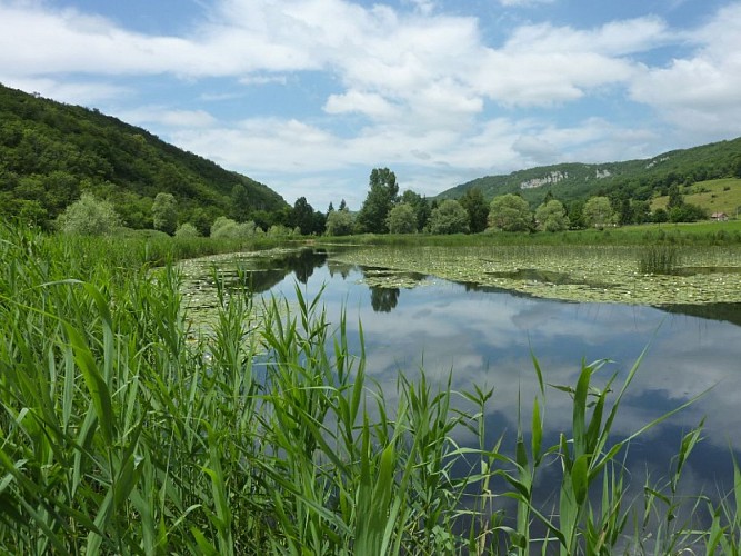 Point d'intérêt naturel - Le lac de Millieu et marais du Vernay, ENS de ...