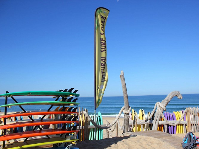 Otros - École de Surf Natural Surf School - Seignosse